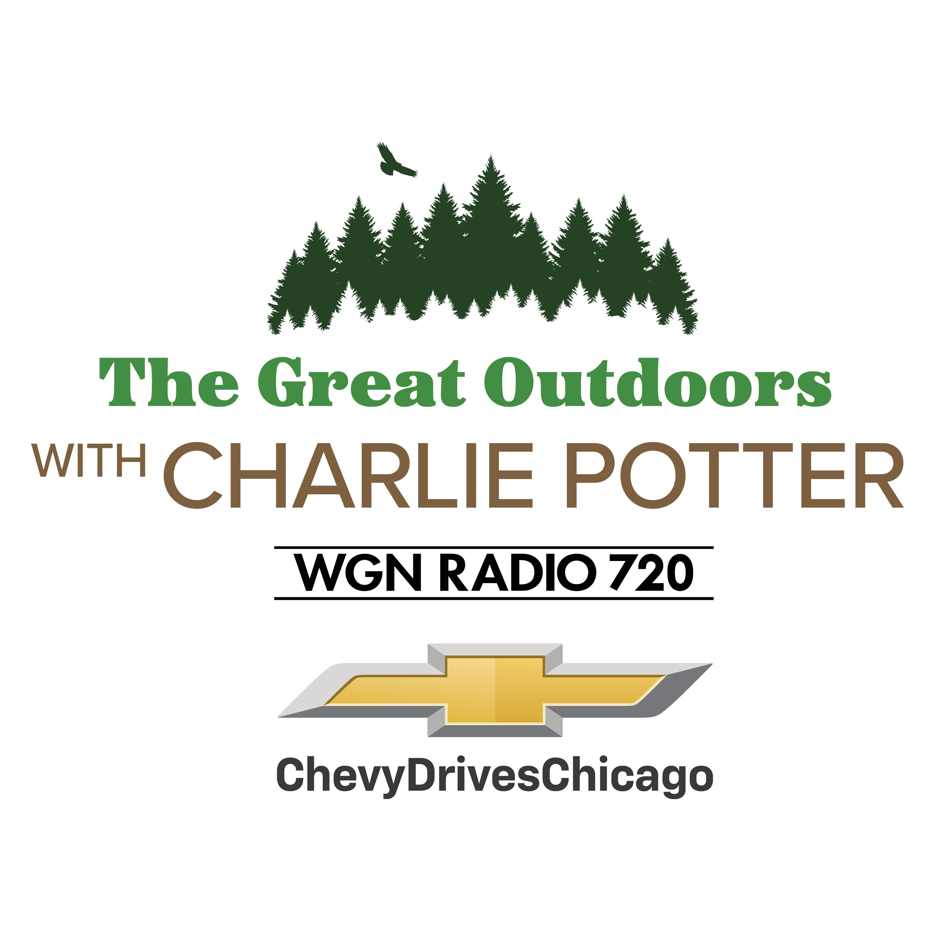 Venezuela’s wetlands, ECO Hunting Alliance and a fish disco by Great ...