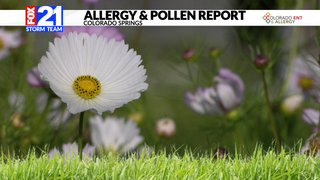 Pollen and Allergy Report | FOX21 News Colorado