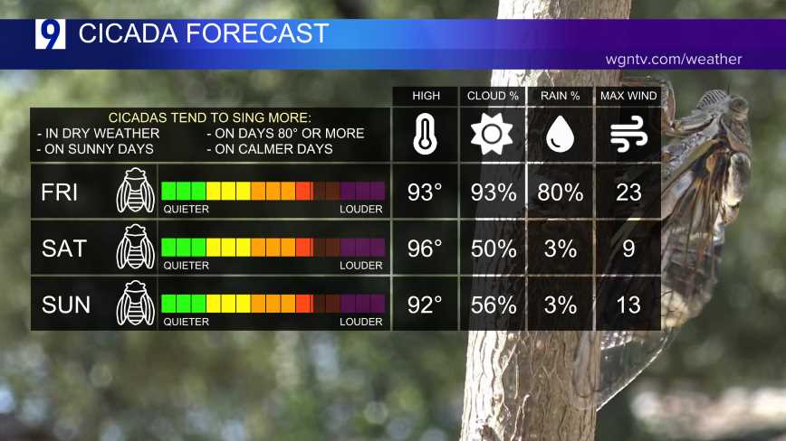 Cicada Forecast | WGN-TV